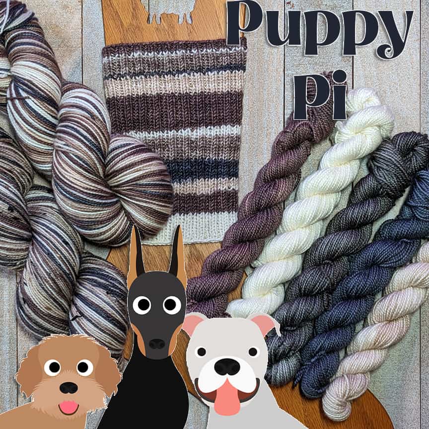 Pi Day Colorways | Fibernymph Dye Works